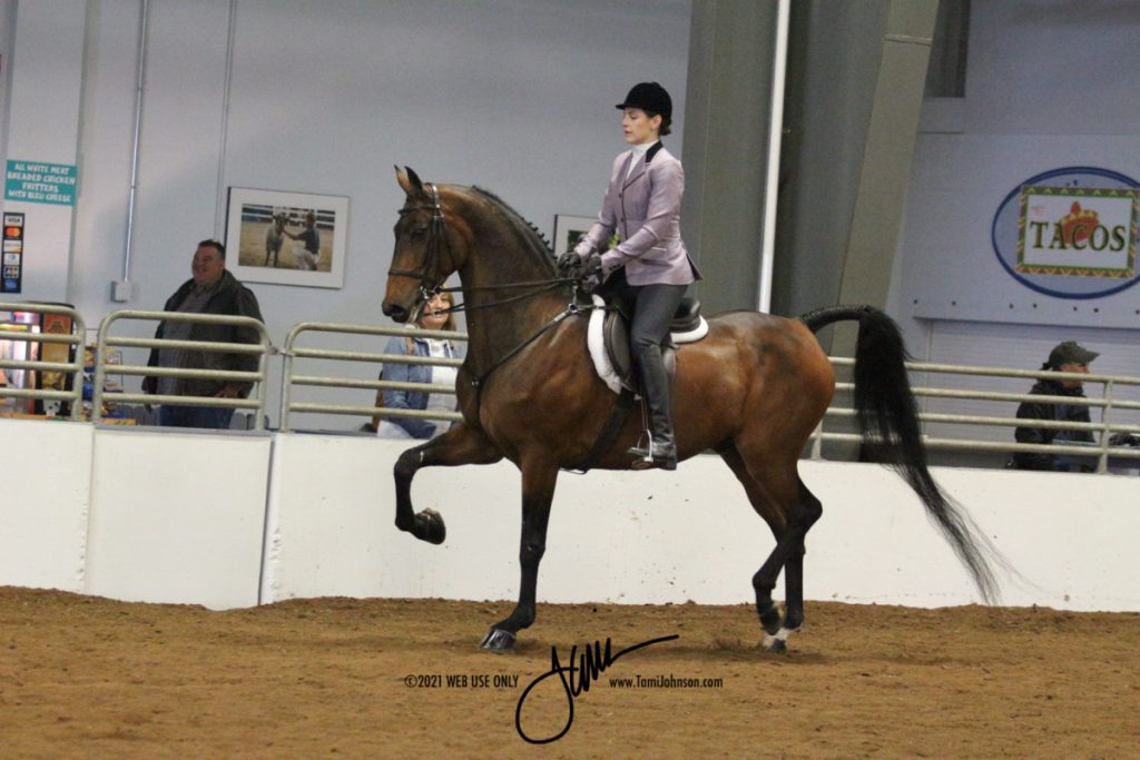 Our Clients » Rolling Oaks Morgans